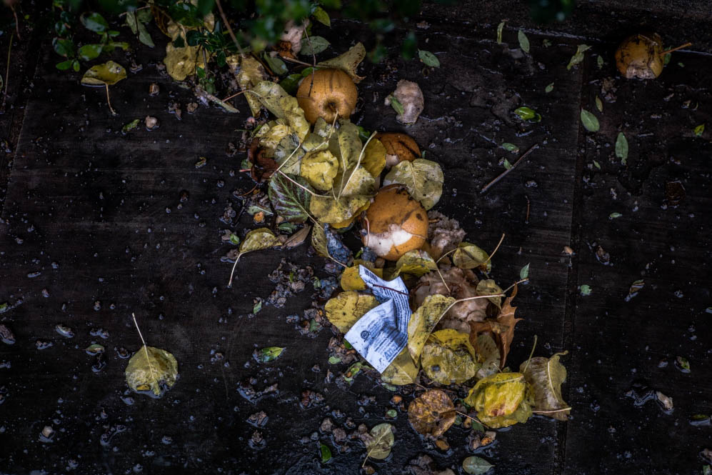Biodegradable Plastics in Compost